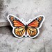 Monarch Madness Sticker, Watercolor Monarch Sticker, Insect Vinyl ...