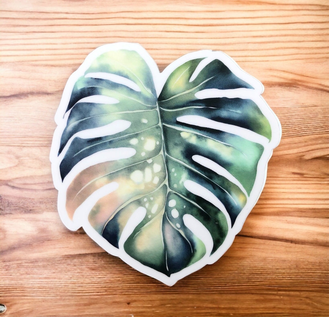 Monstera Mania Sticker, Watercolor Monstera Sticker, Plant Vinyl ...
