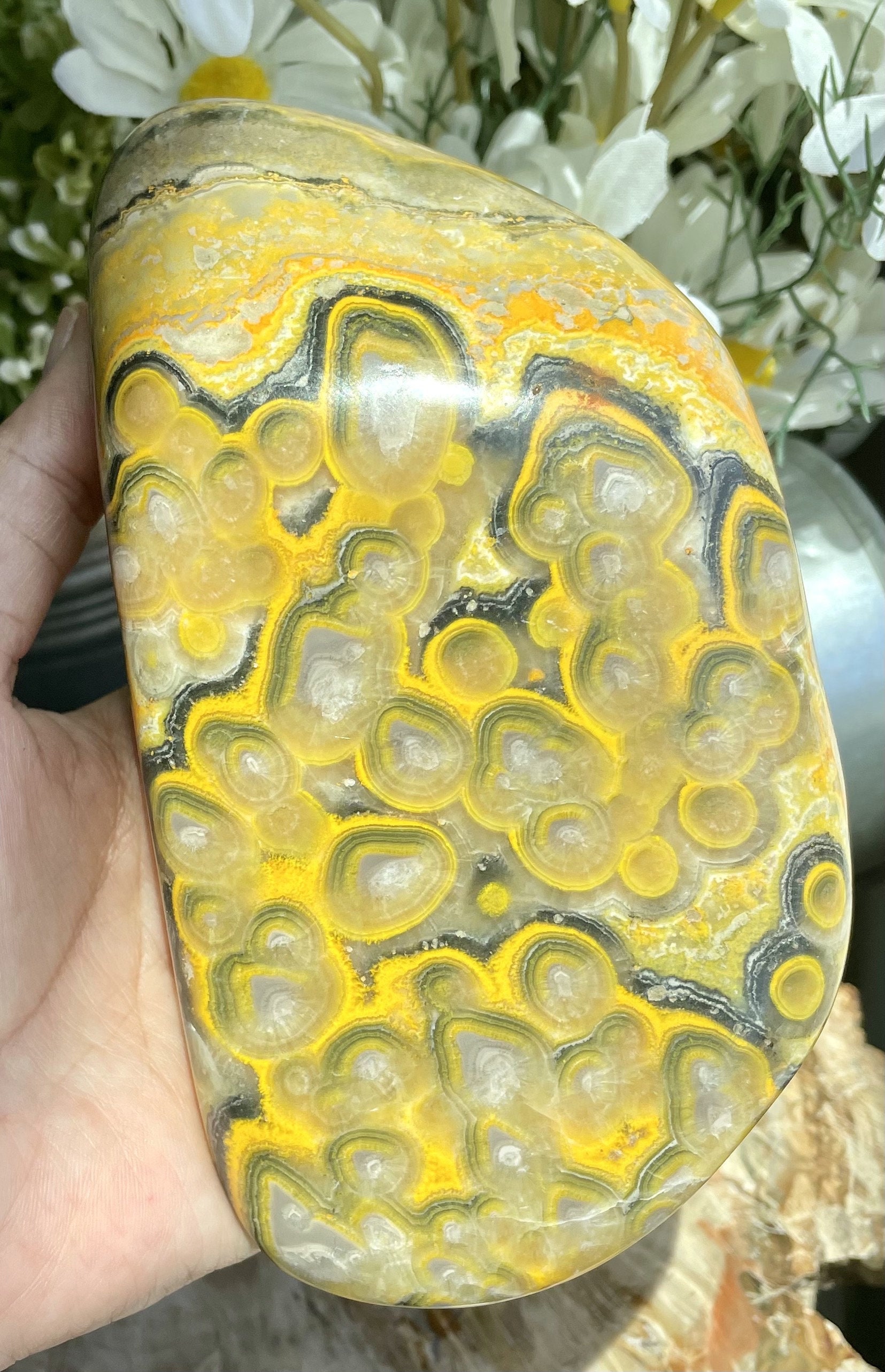 Natural Swirls Forms - Etsy