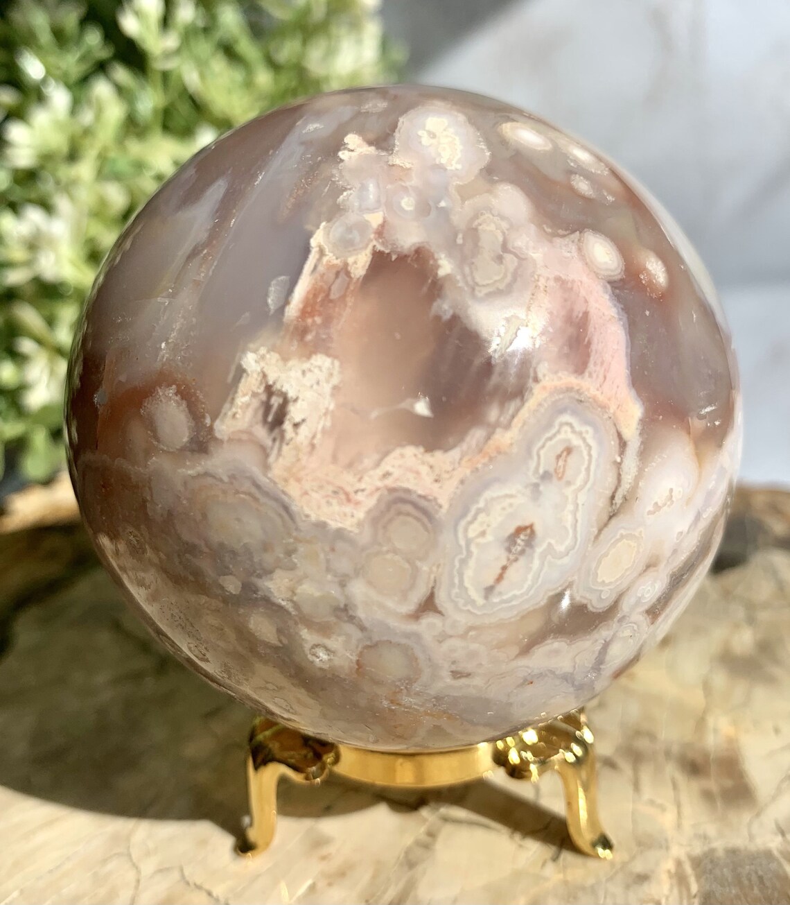 AMAZING // Natural Polished Beautiful Flower Agate Carnelian | Etsy