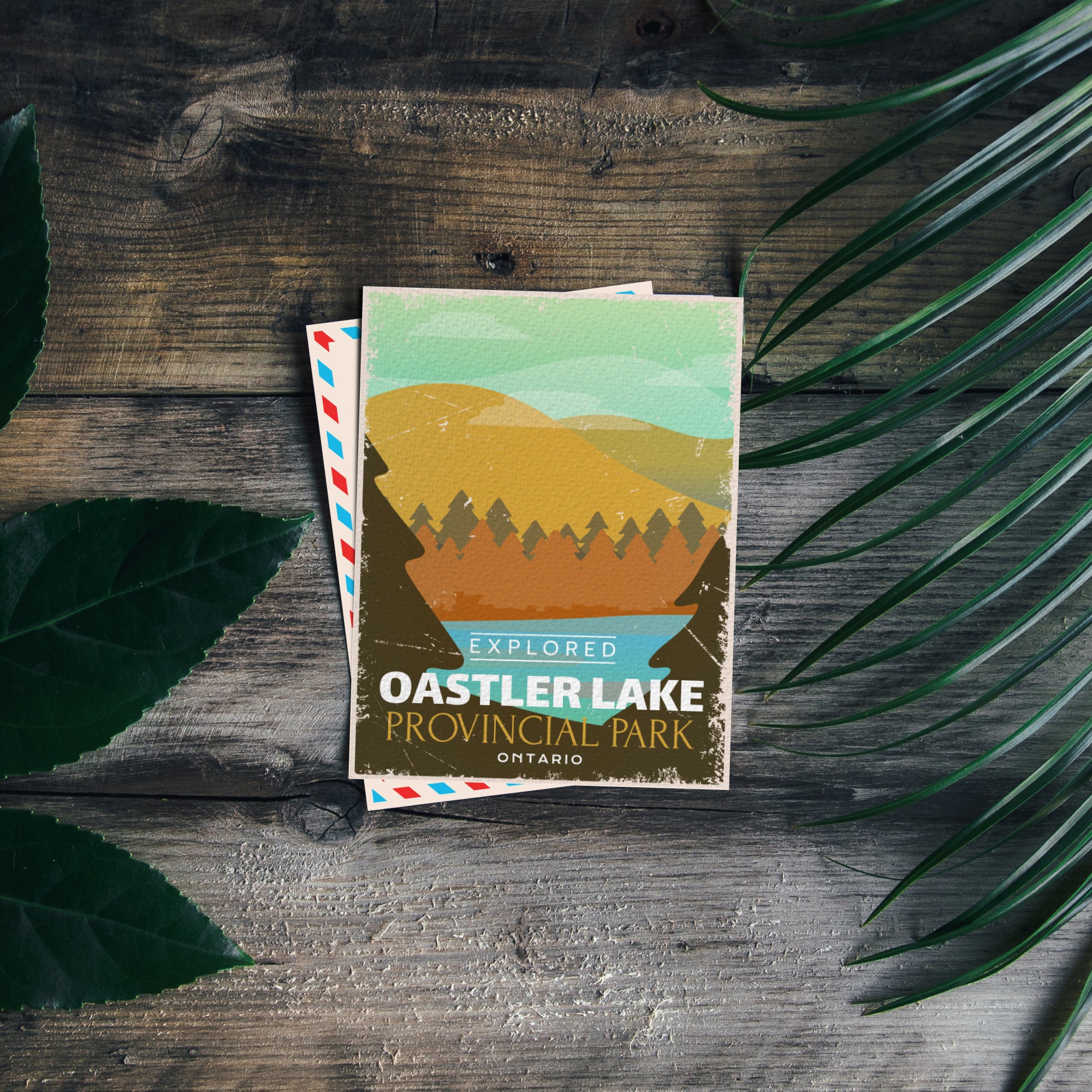 Oastler Lake Ontario Provincial Park Postcard, Vintage, Postcards ...