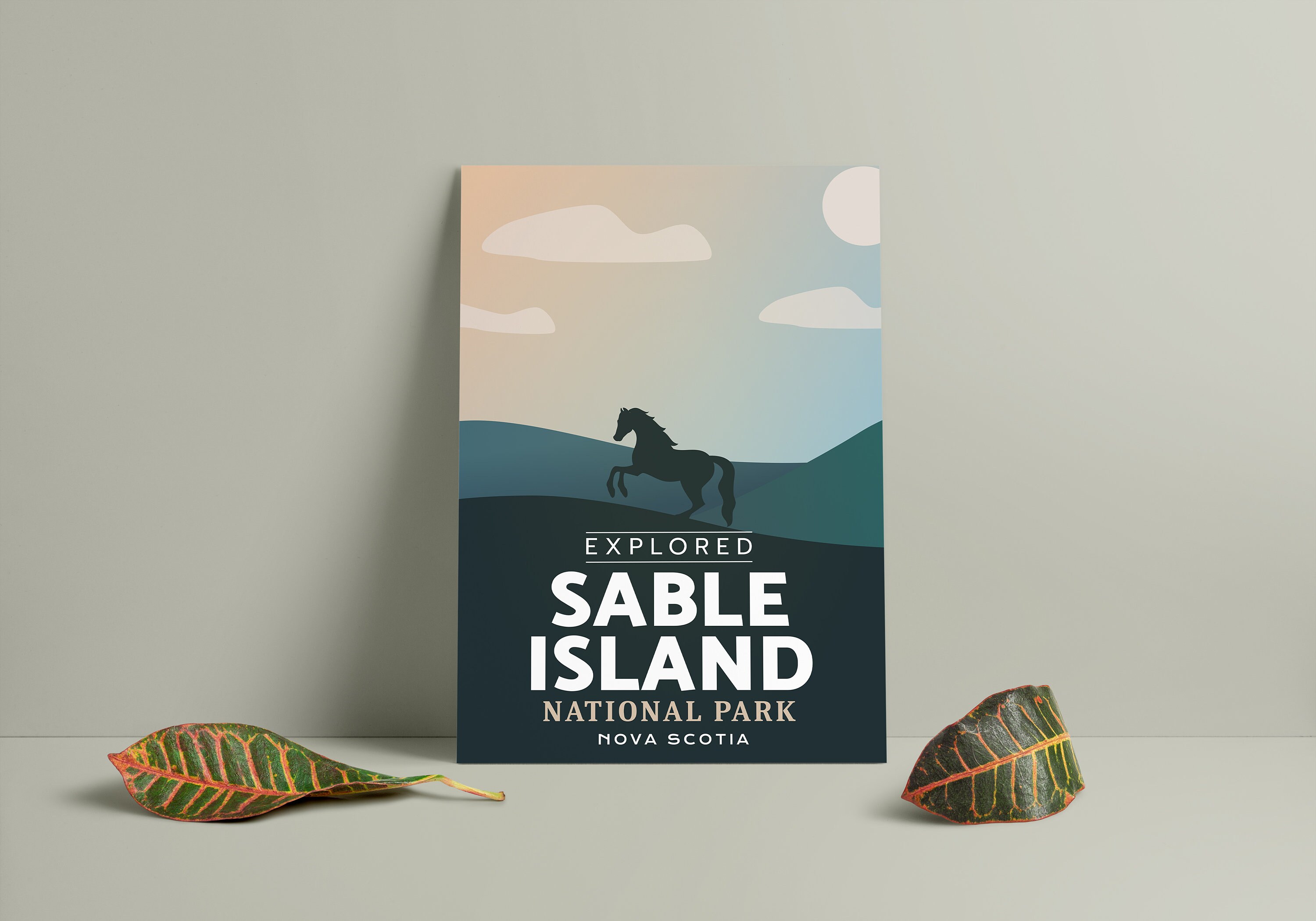 Sable Island National Park 'Explored' Poster Park | Etsy