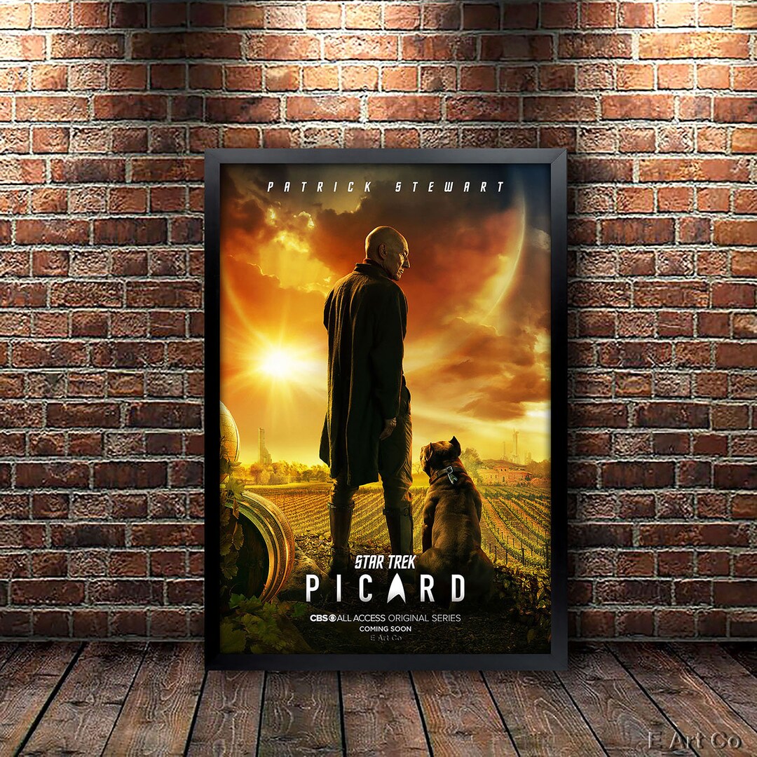 Star Trek: Picard, Movie Poster, Framed and Ready to Hang. - Etsy