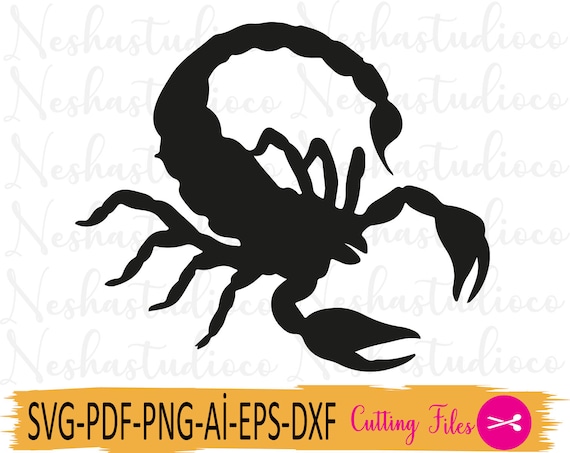 Scorpion Svgscorpion Clipartanimal Svgscorpion Svg Cutting | Etsy