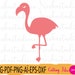 Flamingo SVG, Flamingos Svg,summer Svg Tropical Svg, Beach Svg, Instant ...