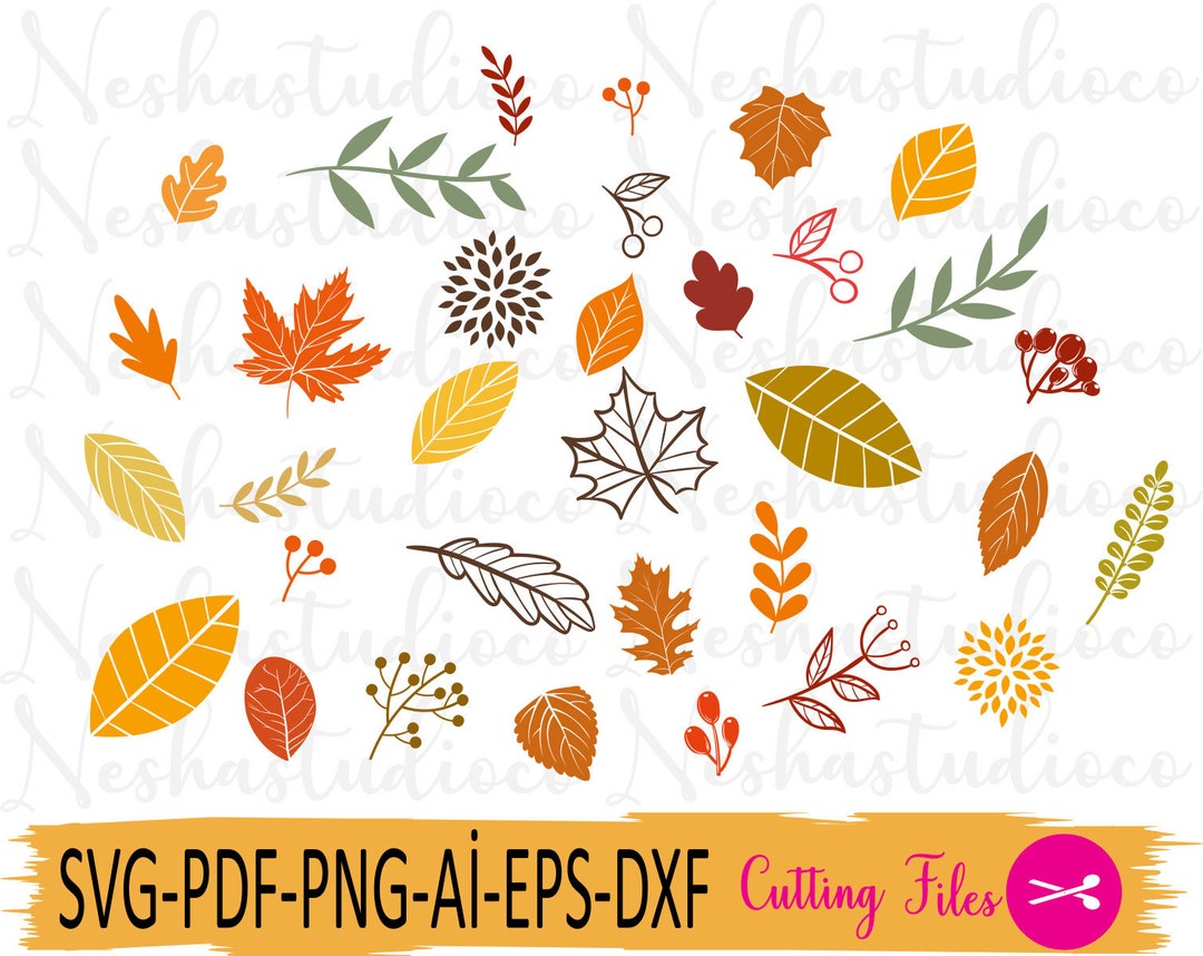 Autumn SVG ,leaf Svg, Autumn Leaf Clipart , Autumn Frames , Autumn ...