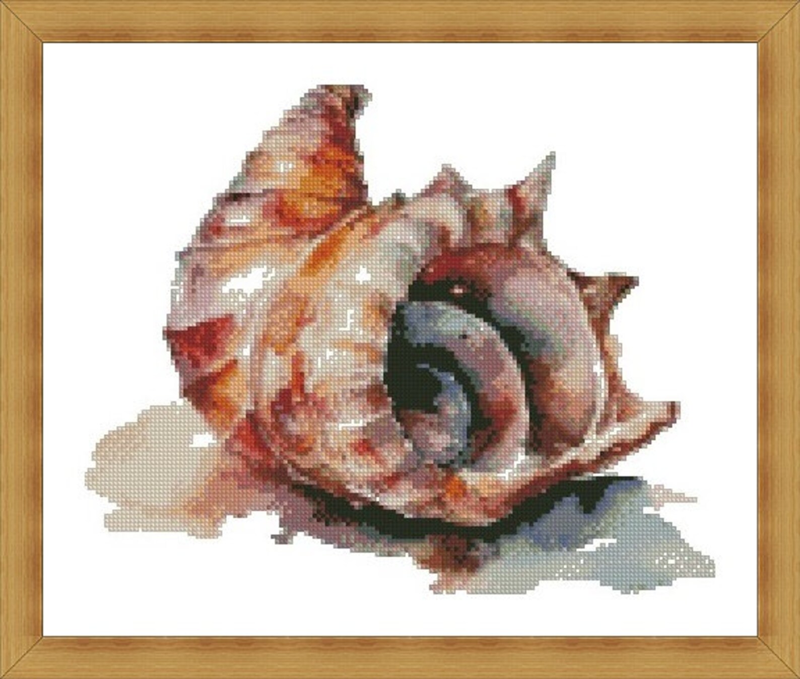 Sea Shell Cross Stitch Pattern,watercolor,instant Download, Ocean Life ...