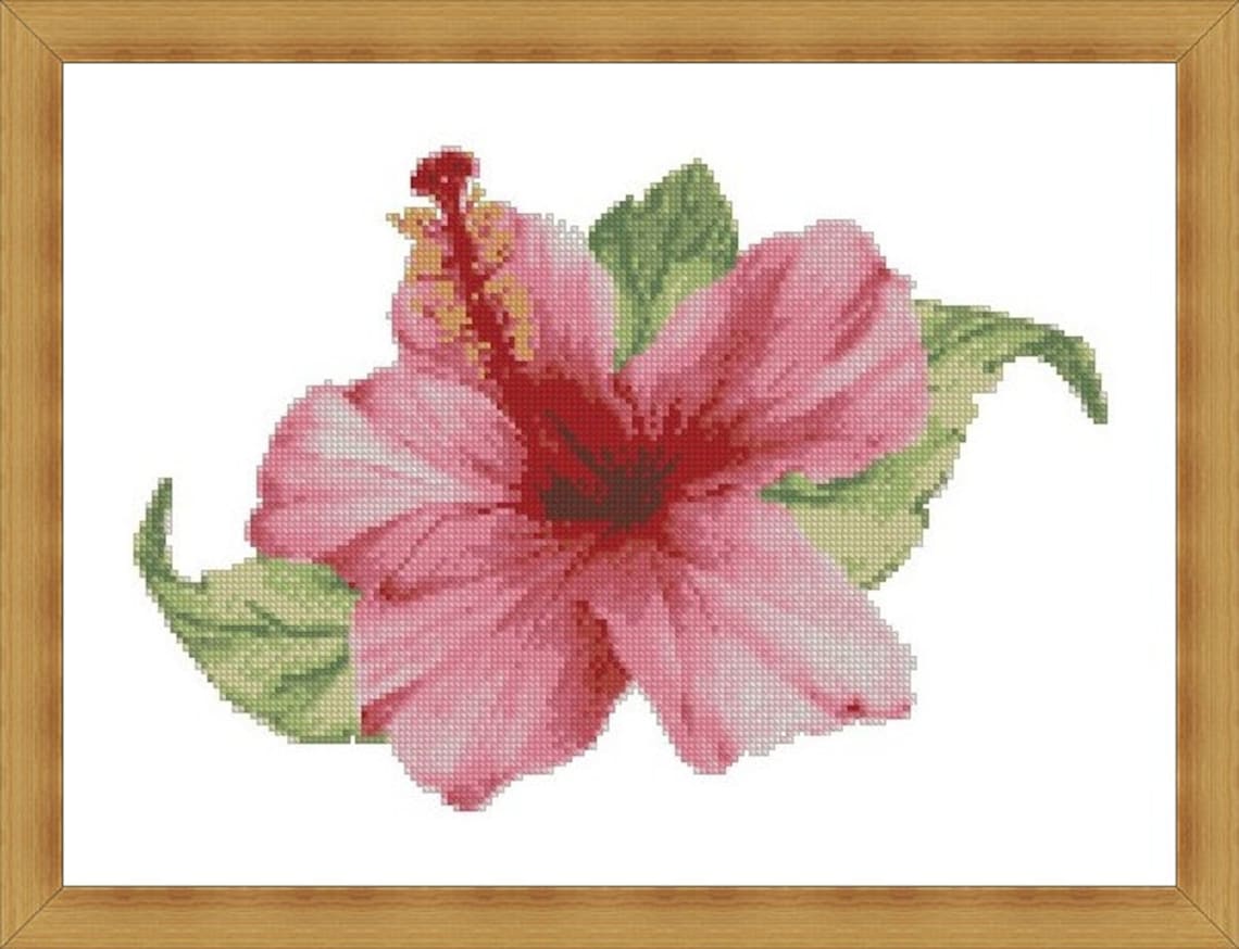 Pink Hibiscus Cross Stitch Pattern, Pdf ,instant Download , Floral X ...