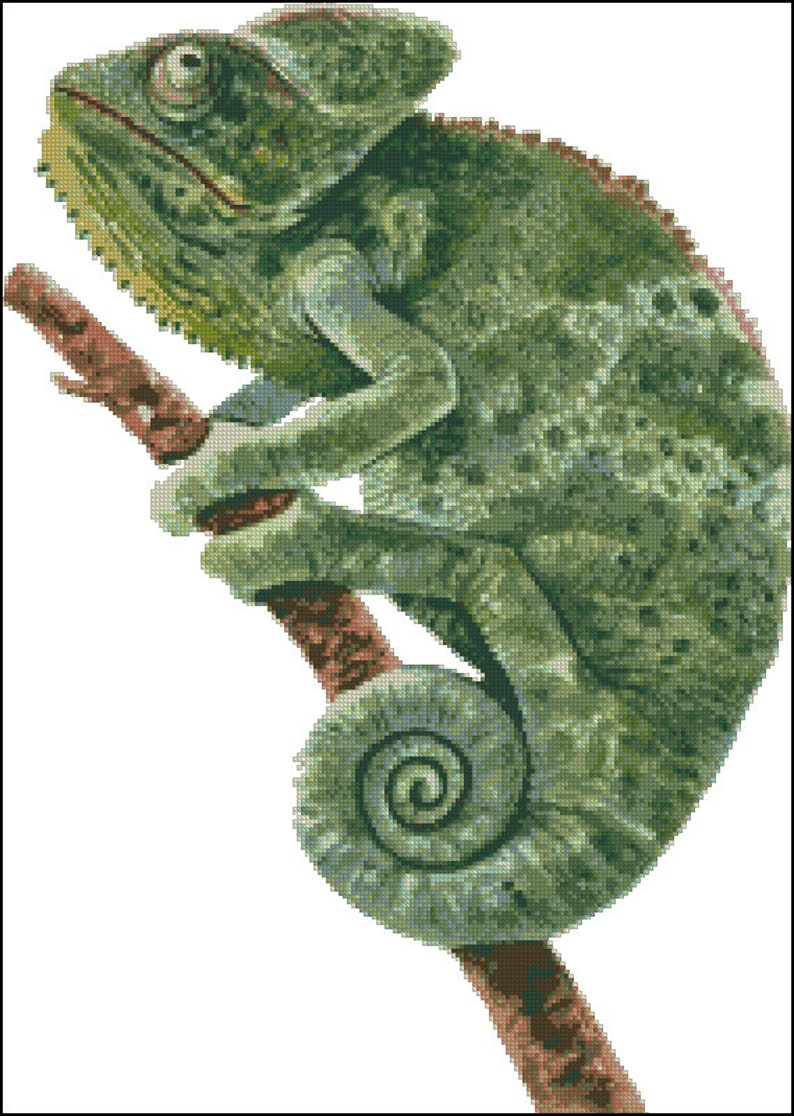 Chameleon Cross Stitch Pattern Pdf Instant Download - Etsy
