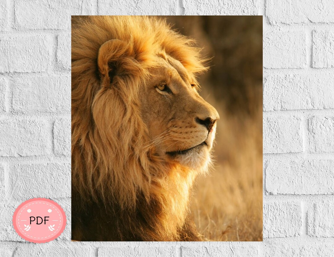 African Lion Cross Stitch Pattern , Pdf Instant Download , X Stitch ...