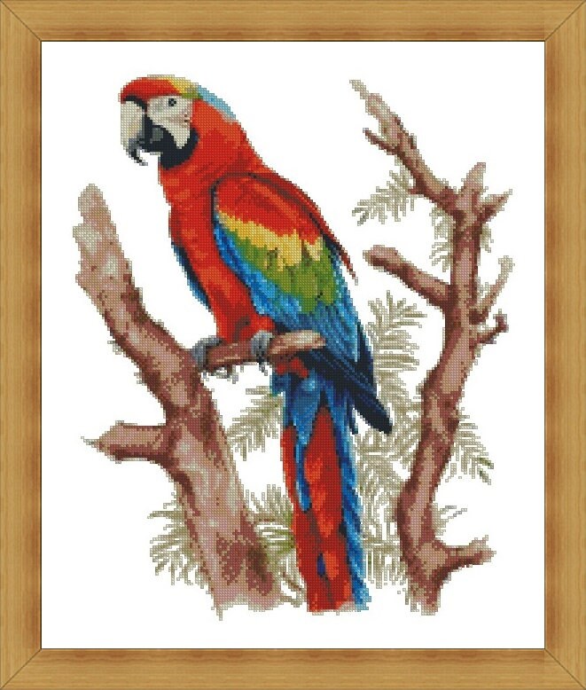Parrot Cross Stitch Pattern , Pdf , Instant Download , Animal X Stitch ...