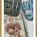 Doctors Workplace Cross Stitch Pattern , Pdf Format , Anatomy X Stitch ...