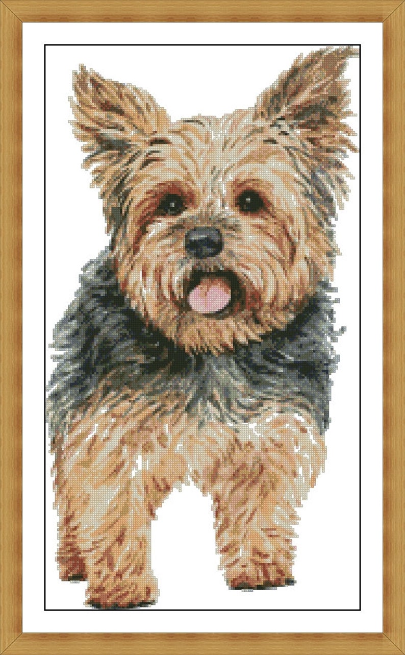 Yorkshire Terrier Cross Stitch Pattern , Pdf , Instant Download ...