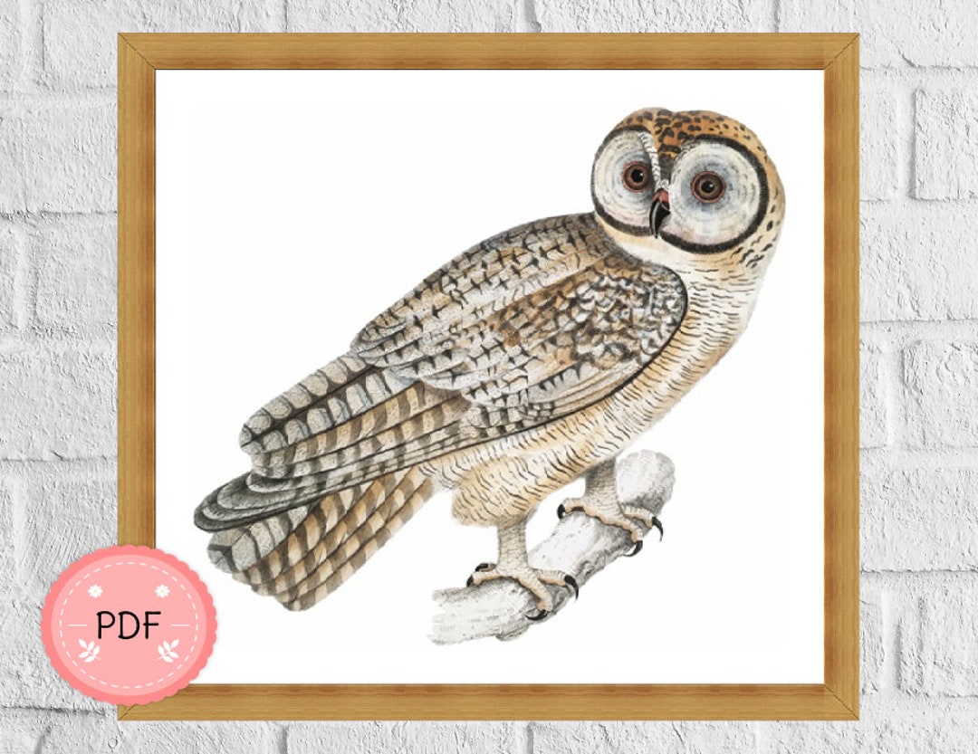 Owl Cross Stitch Pattern Hand Drawing Style Pdf Instant - Etsy