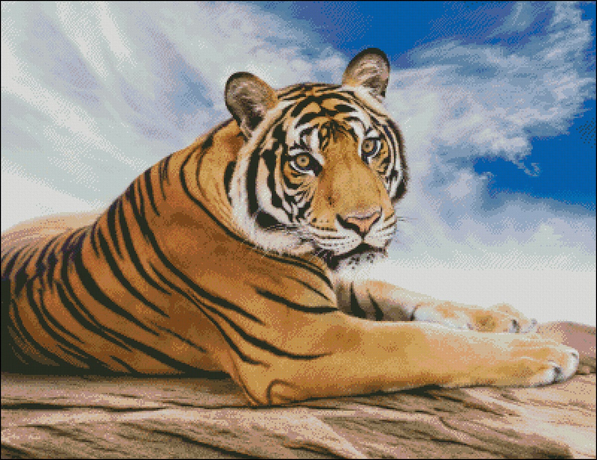 Siberian Tiger Cross Stitch Pattern , Pdf , Instant Download , Animal X ...