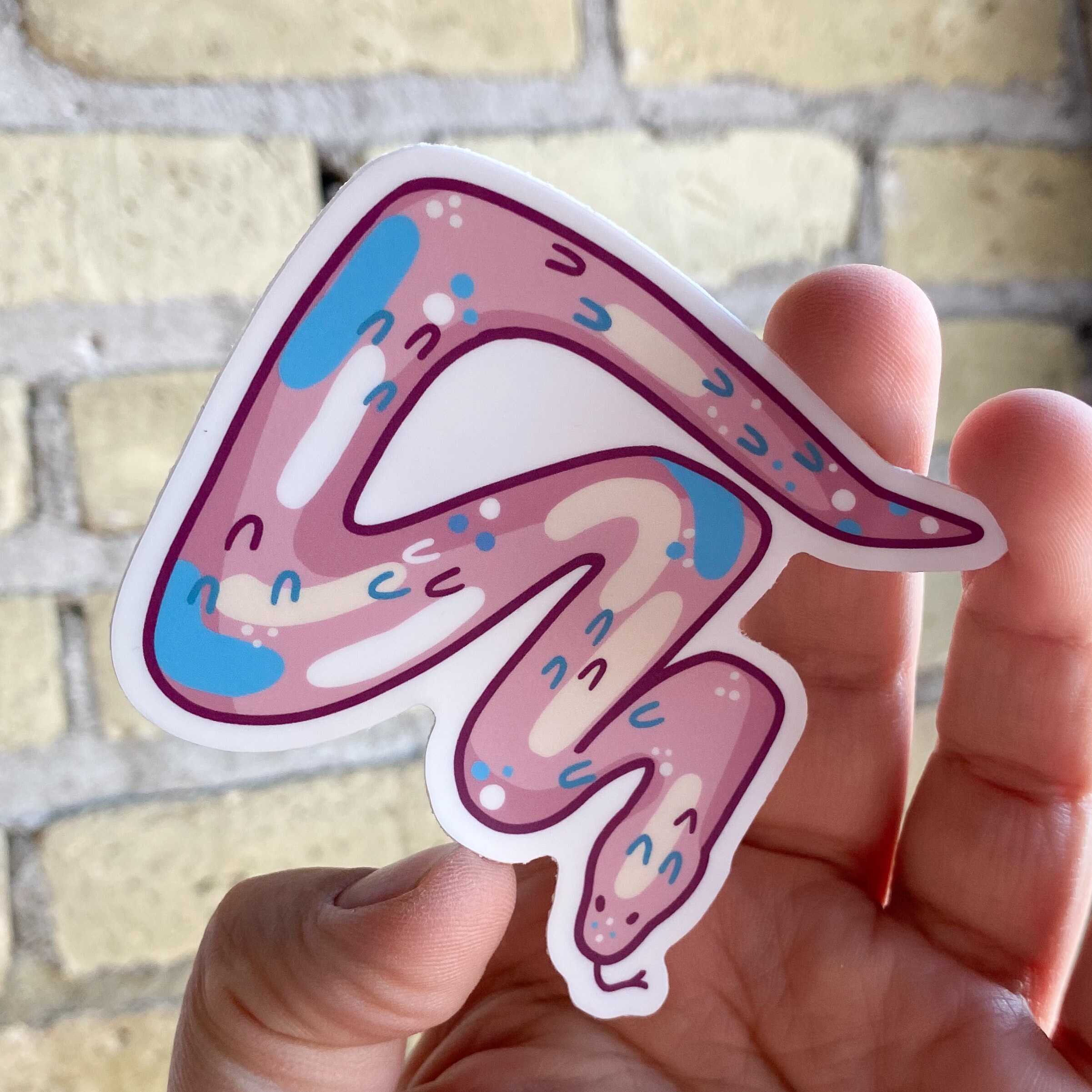 Transgender Snake / Subtle LGBTQ Pride Reptile Sticker - Etsy