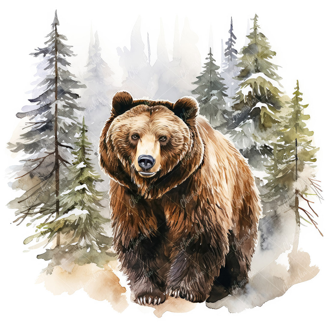 Watercolor Brown Bear Clipart 8 Jpgs Commercial Use Wild - Etsy