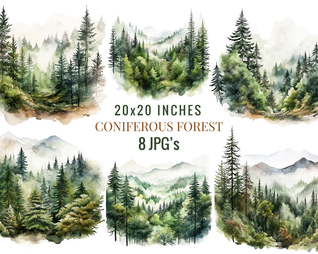 Watercolor Forest Clipart, 8 Jpgs, Commercial Use, Misty Forest ...