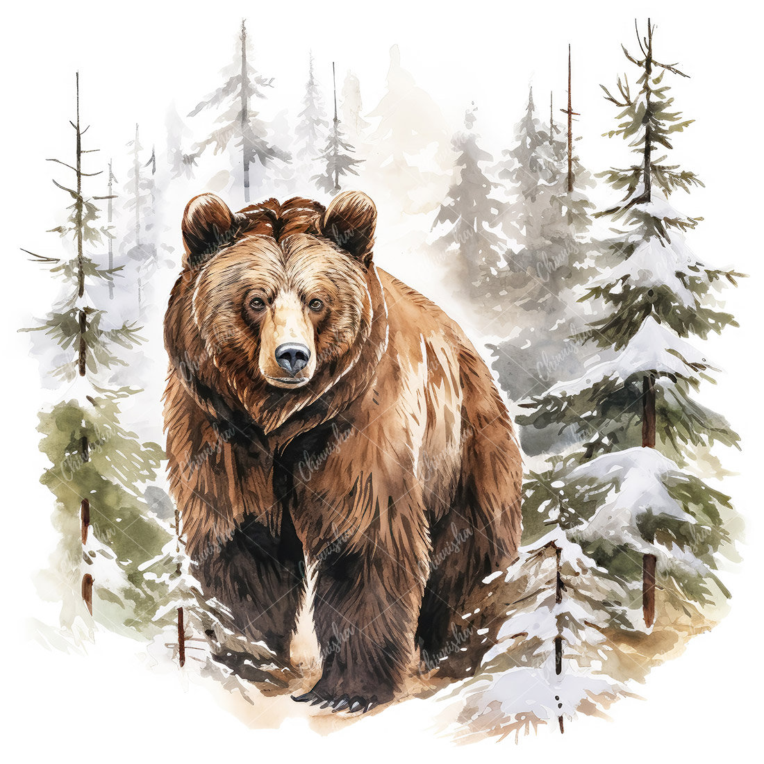 Watercolor Brown Bear Clipart 8 Jpgs Commercial Use Wild - Etsy
