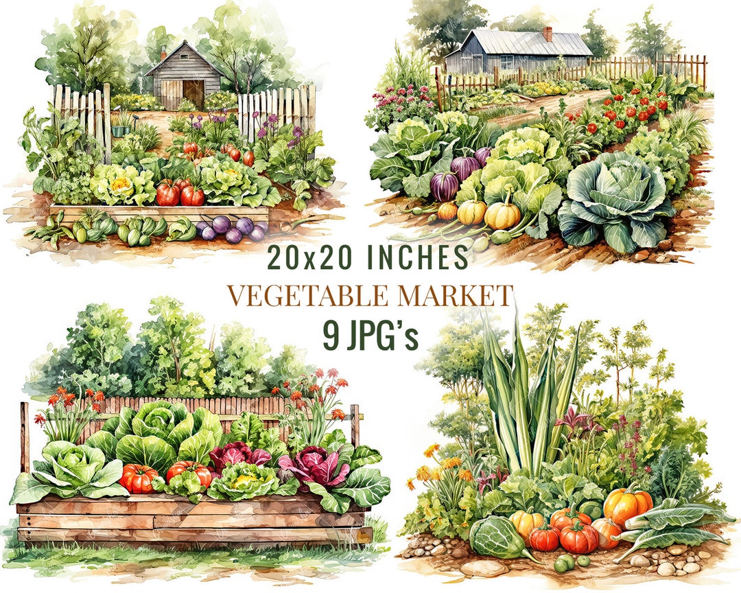 Watercolor Vegetable Garden Clipart, 9 Jpgs, Commercial Use, Gardening ...