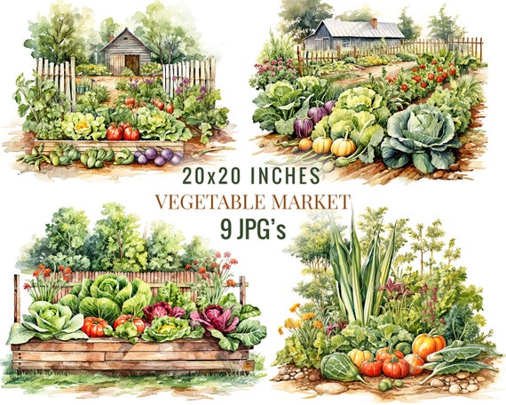 Vegetable Garden Clipart