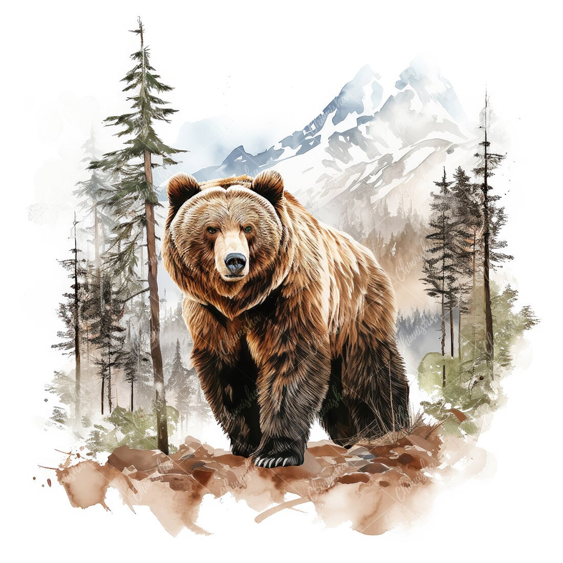 Watercolor Brown Bear Clipart 8 Jpgs Commercial Use Wild - Etsy