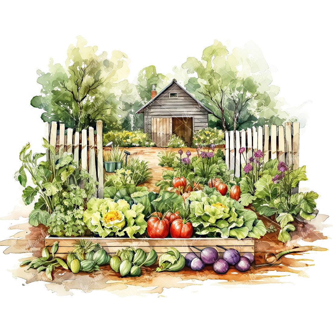 Vegetable Gardening Clipart