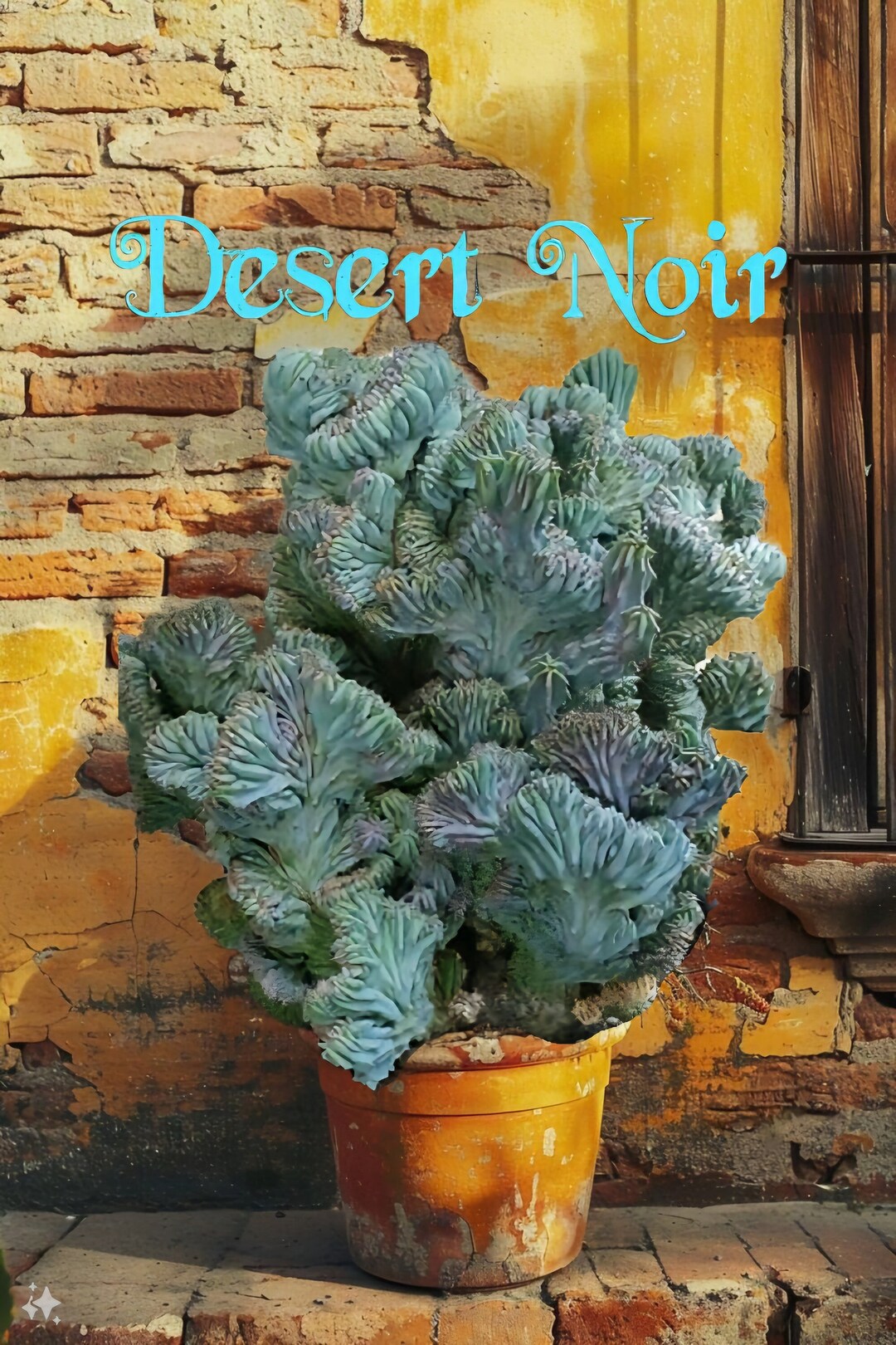 Dinosaur Back (myrtillocactus Geometrizans F. Cristata), Crested Cactus ...