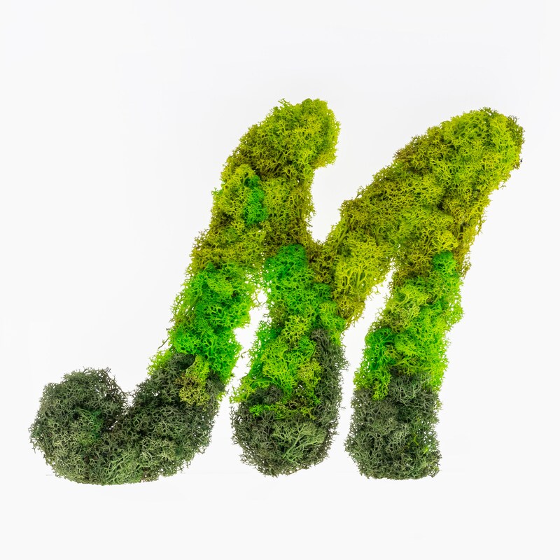 Moss Letters - Etsy
