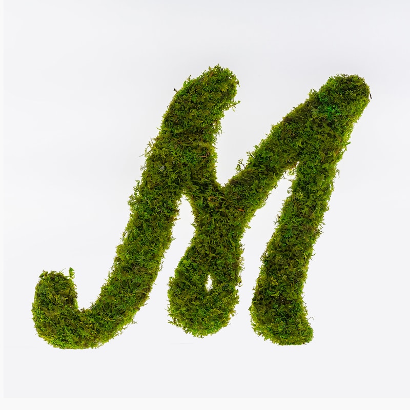 Moss Letter - Etsy