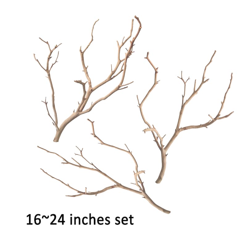 Manzanita Branch Display - Etsy