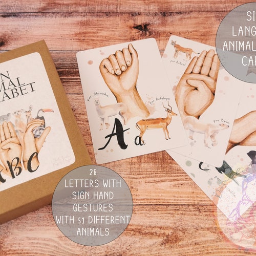 Animal ABC 123 Flash Cards Animal ABC Cards Animal | Etsy