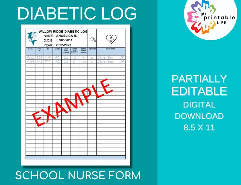 DIABETIC LOG for Health Office, School Nurse Form - Etsy