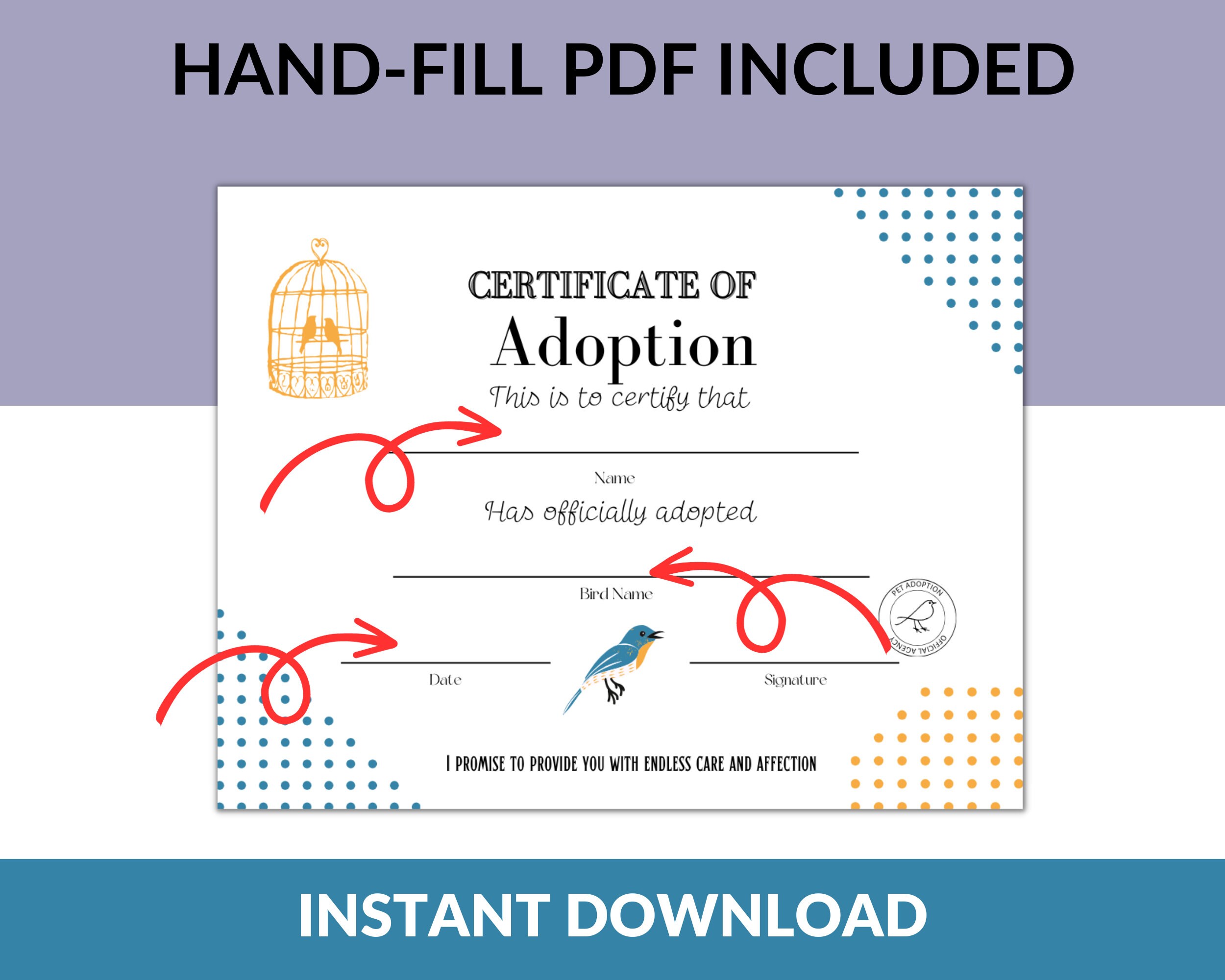 Bird Adoption Certificate | Editable Canva Template | Printable Avian ...