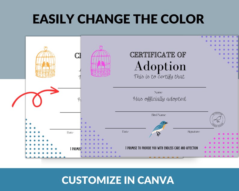 Bird Adoption Certificate | Editable Canva Template | Printable Avian ...
