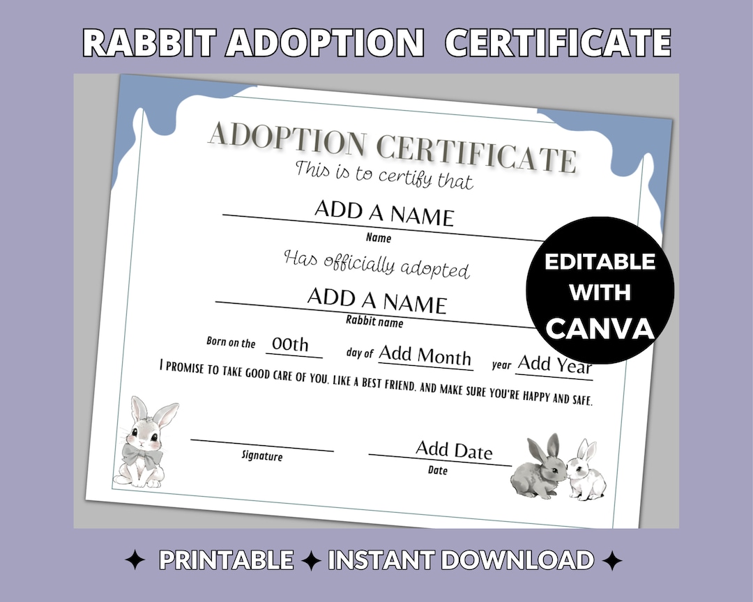 Rabbit Adoption Certificate | Editable Canva Template | Printable Bunny ...