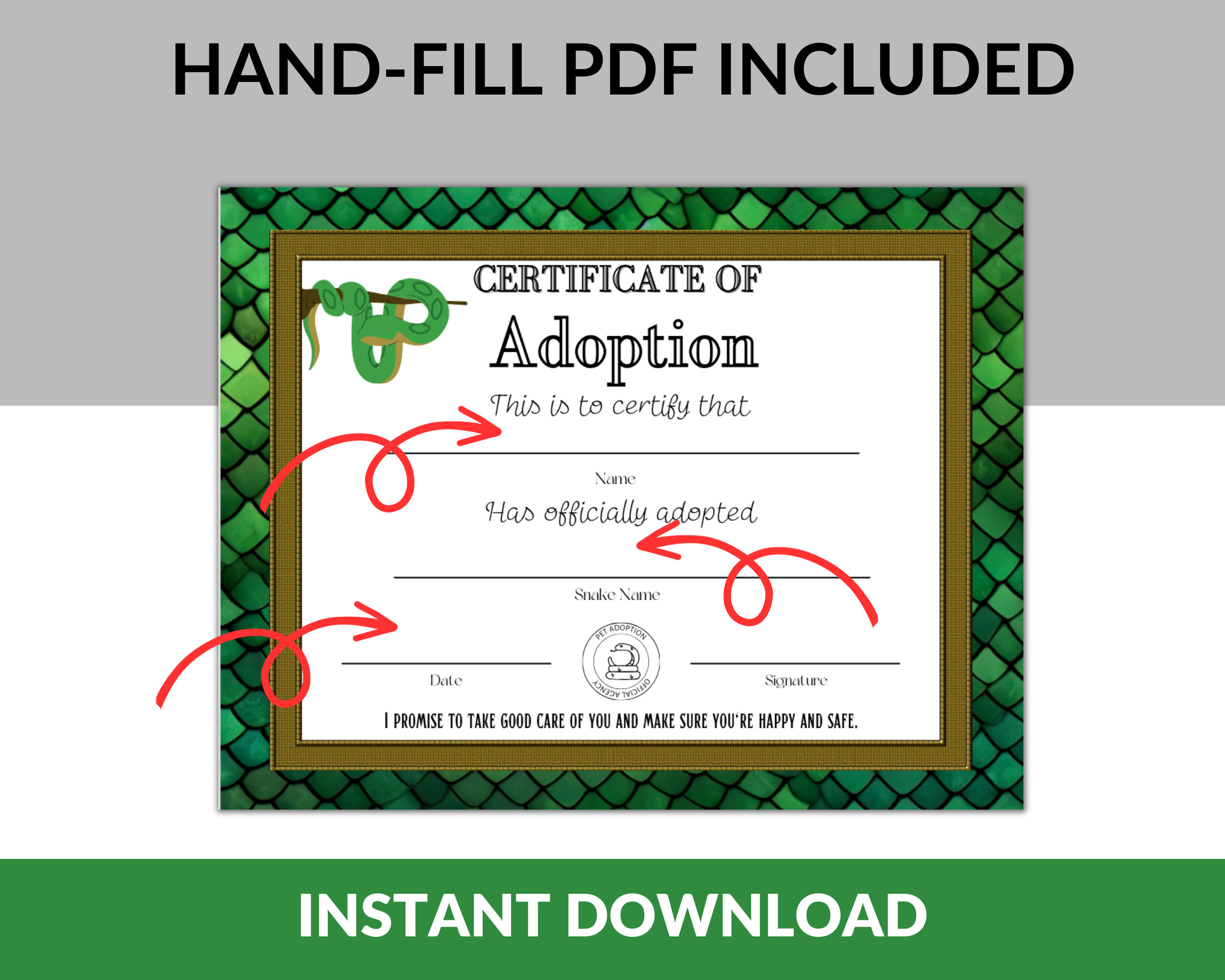 Snake Adoption Certificate | Editable Canva Template | Printable ...