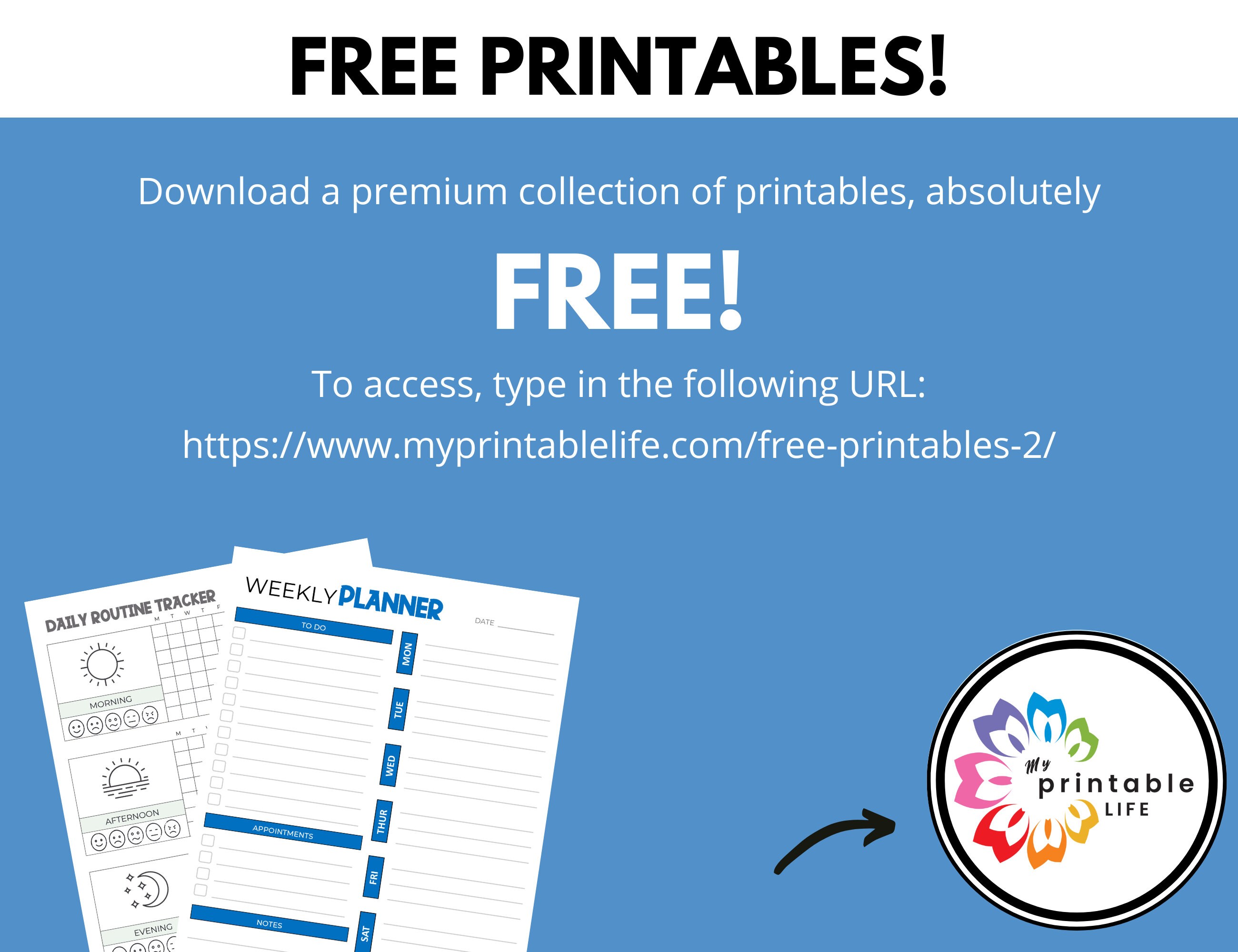 Class Notes Template, Printable Study Session, Subject Overview Pages ...