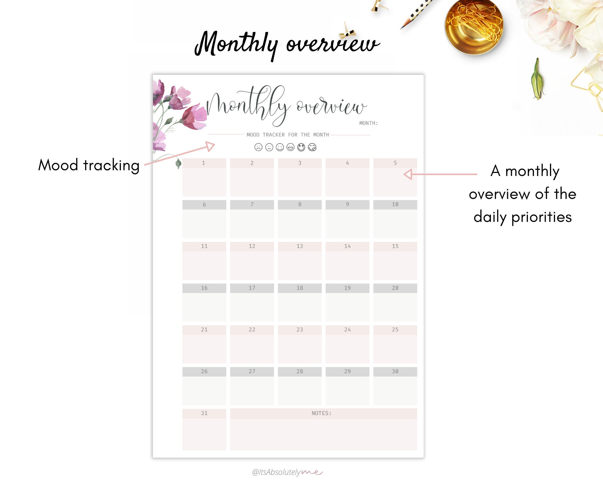 Hourly Planner Daily Routine Printable Weekly Hourly | Etsy