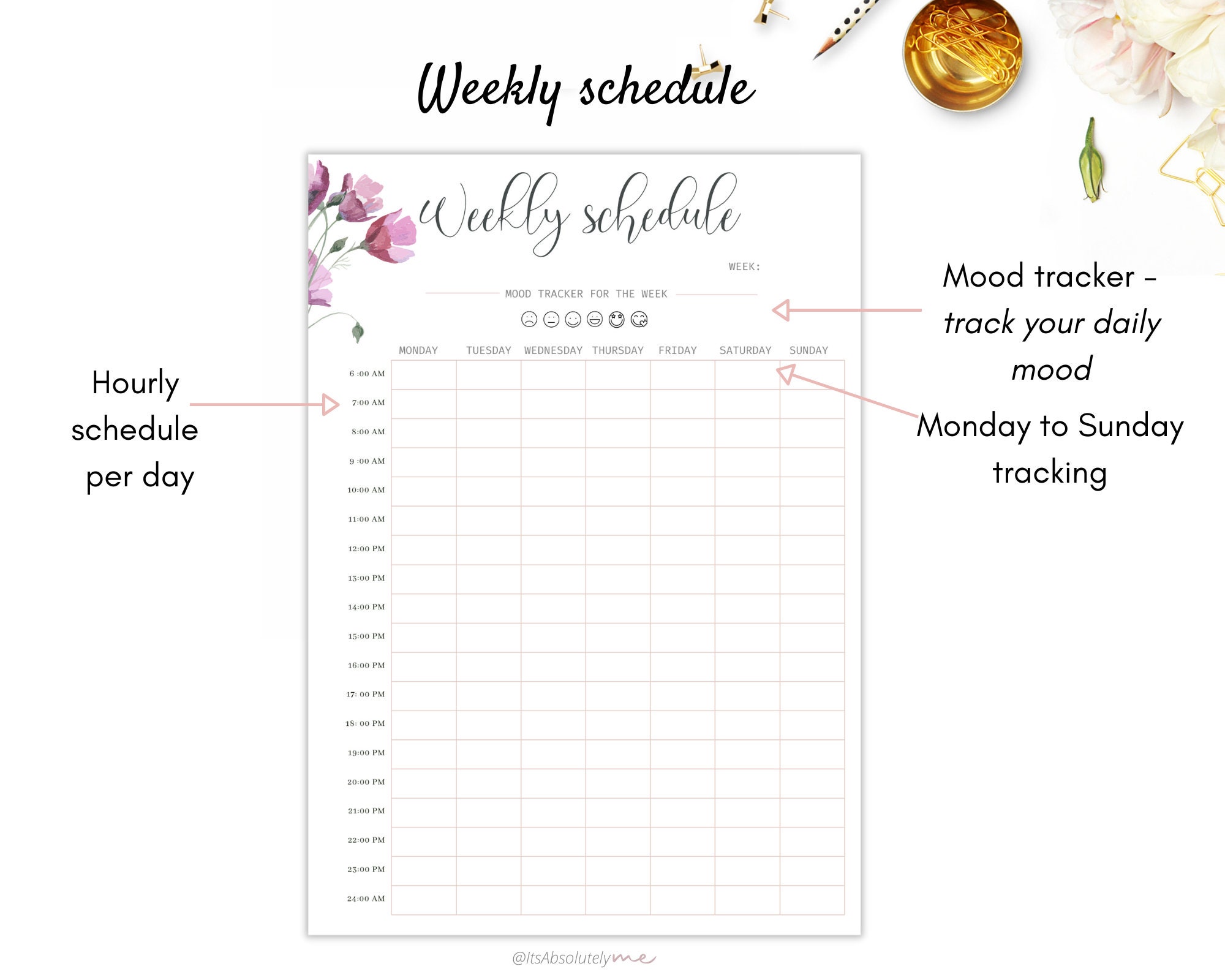 Hourly Planner Daily Routine Printable Weekly Hourly | Etsy
