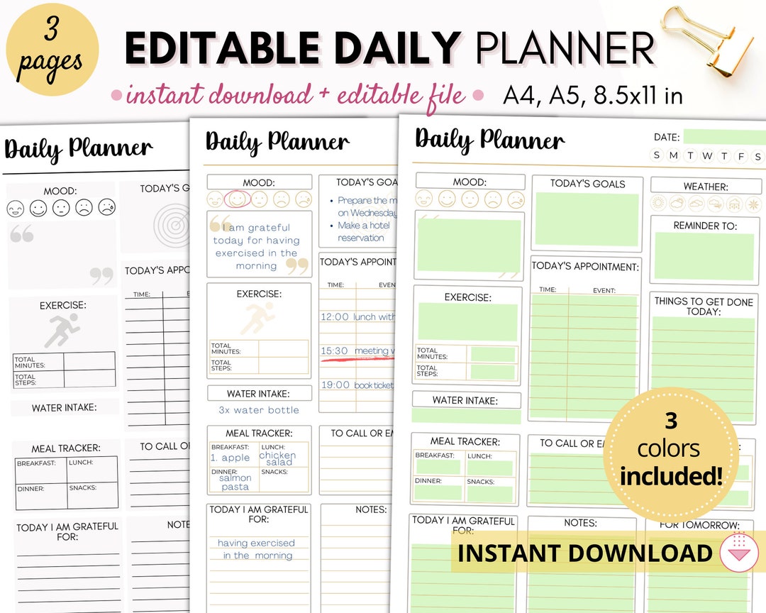Digital Daily Planner Template Daily Planner Digital Daily - Etsy