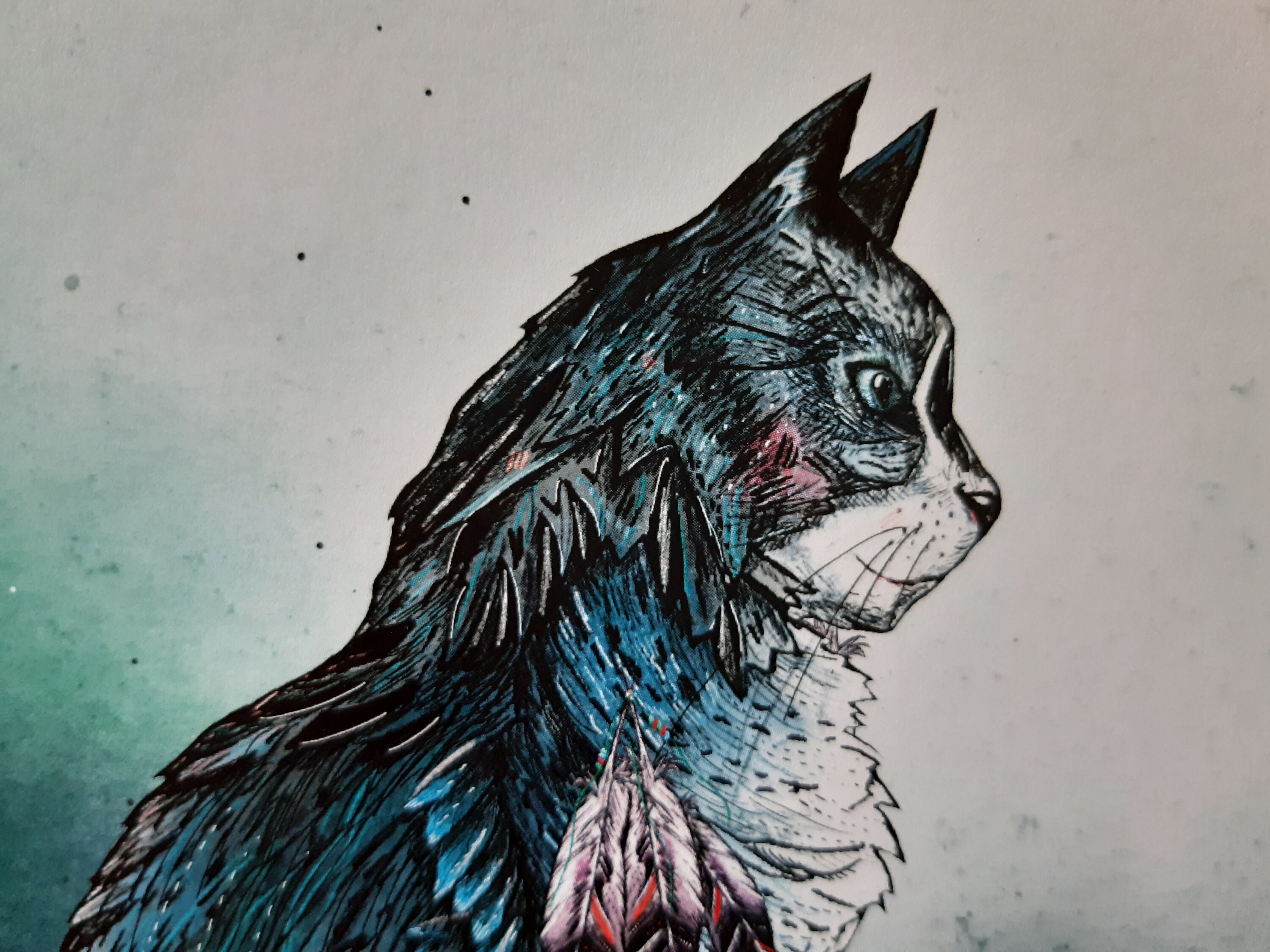 Native American Cat // A4 Art Print - Etsy