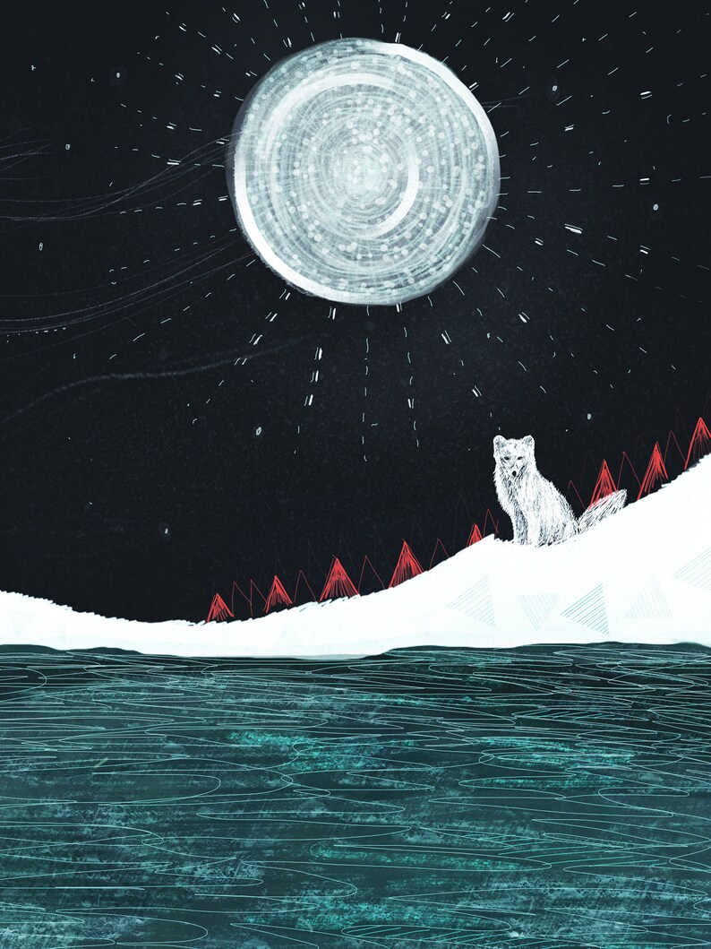Arctic Fox // A4 Art Print - Etsy