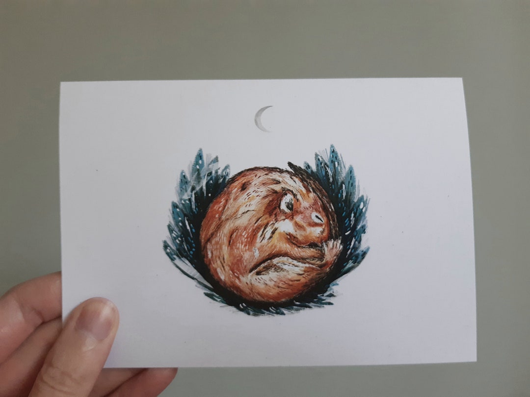 Dormouse // Greeting / Christmas Card - Etsy