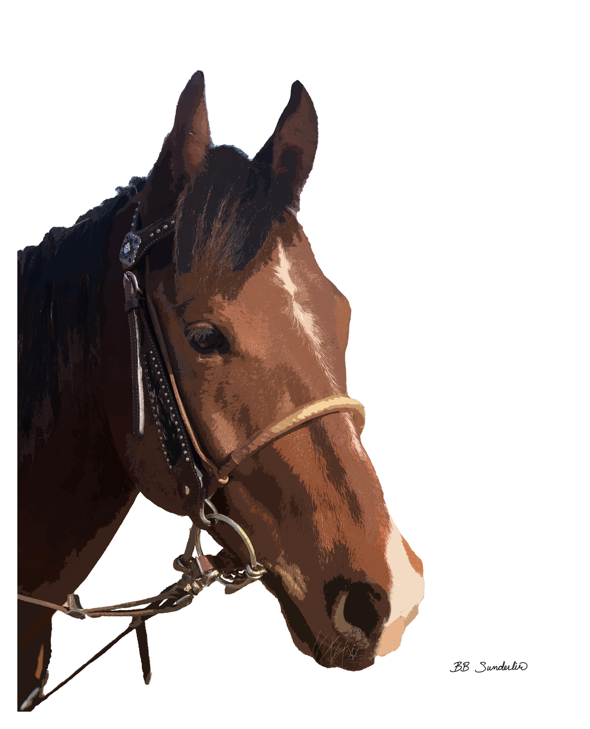 Personalized Horse Portrait, Gift for Horse Lover, Art Print, Custom ...