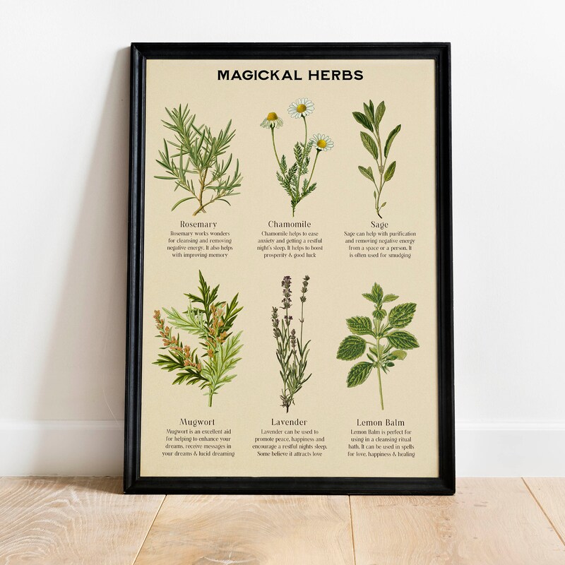 Herb Magic - Etsy