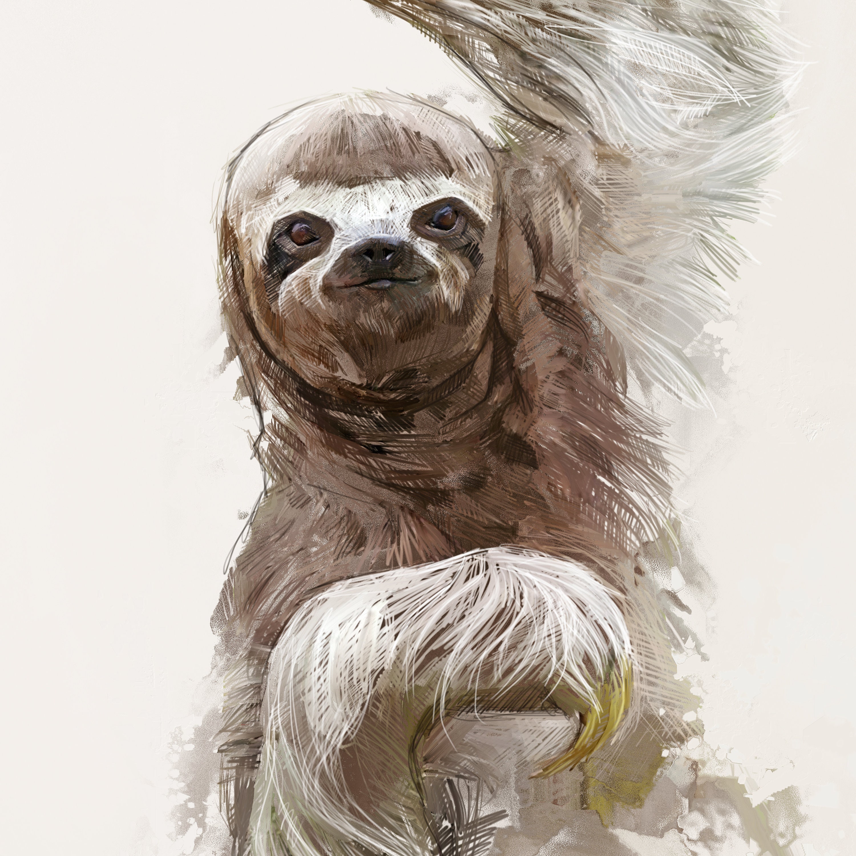 Sloth Print Printable Wall Art Wildlife Artwork Animal | Etsy