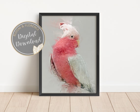 Galah Cockatoo Downloadable Art Print No.2 Pretty Printable - Etsy