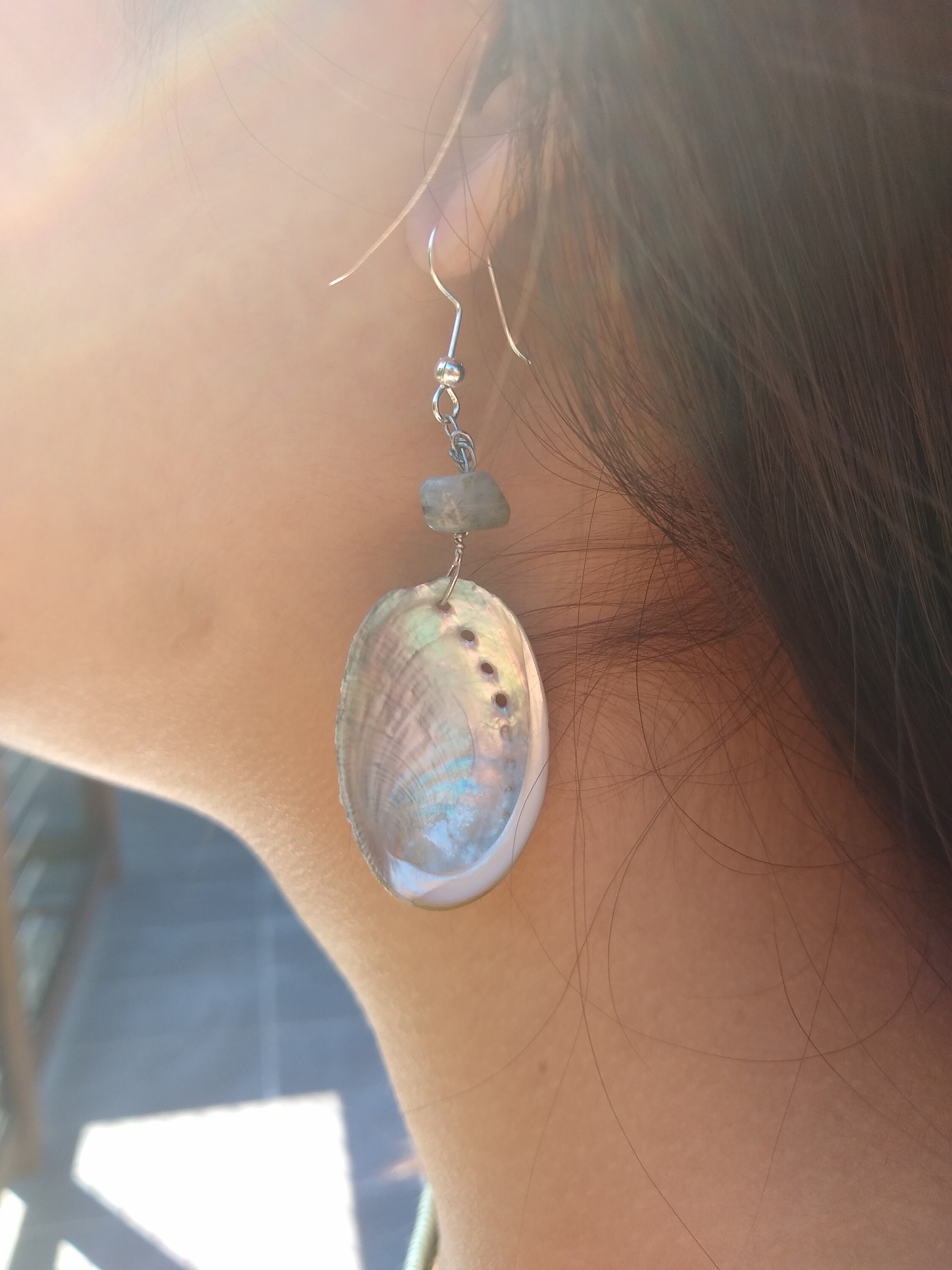 Abalone Shell and Labradorite Earring Natural - Etsy UK