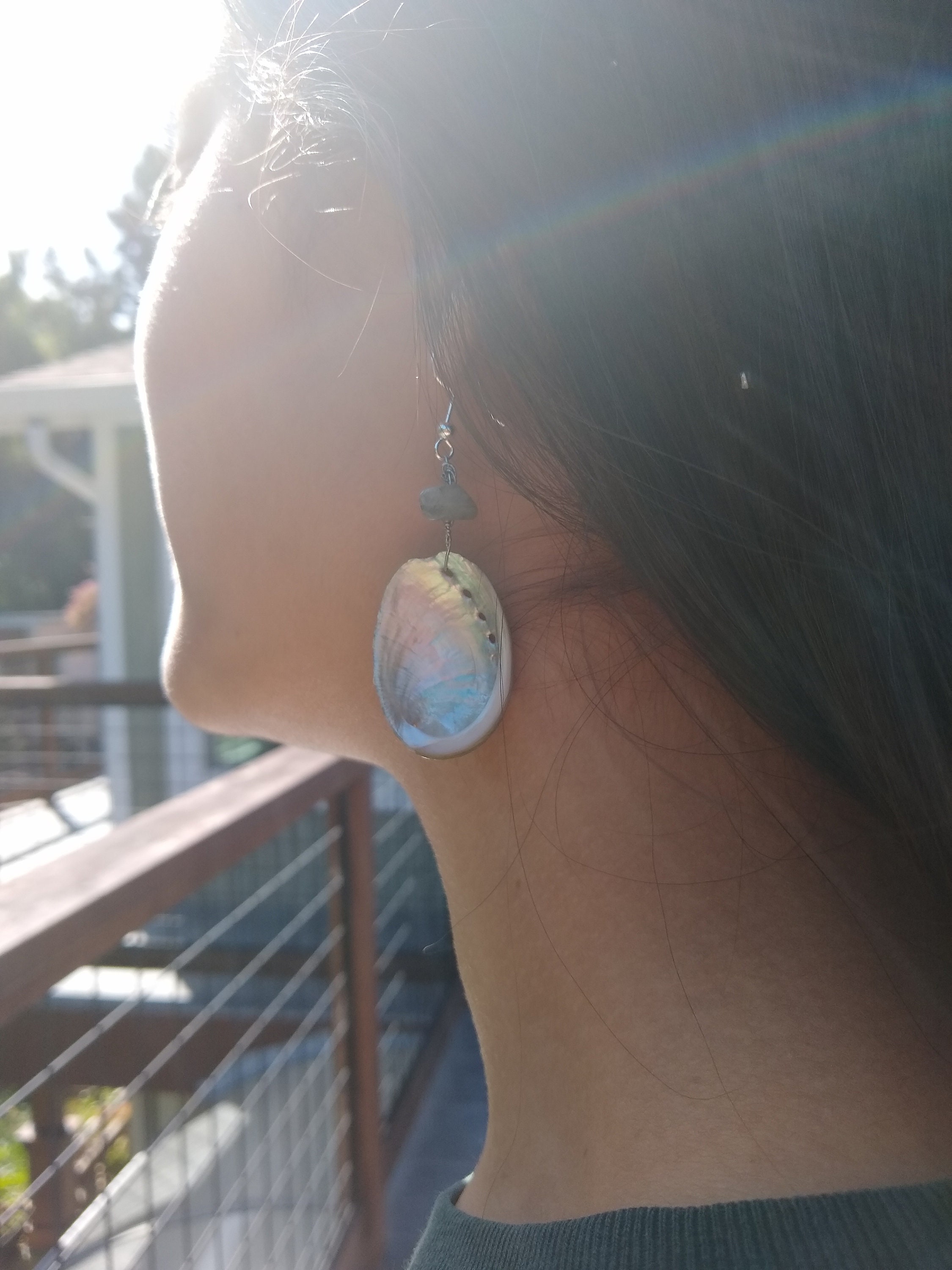 Abalone Shell and Labradorite Earring Natural - Etsy UK